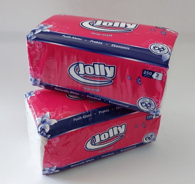 Tissue / Tisu 250 Sheet